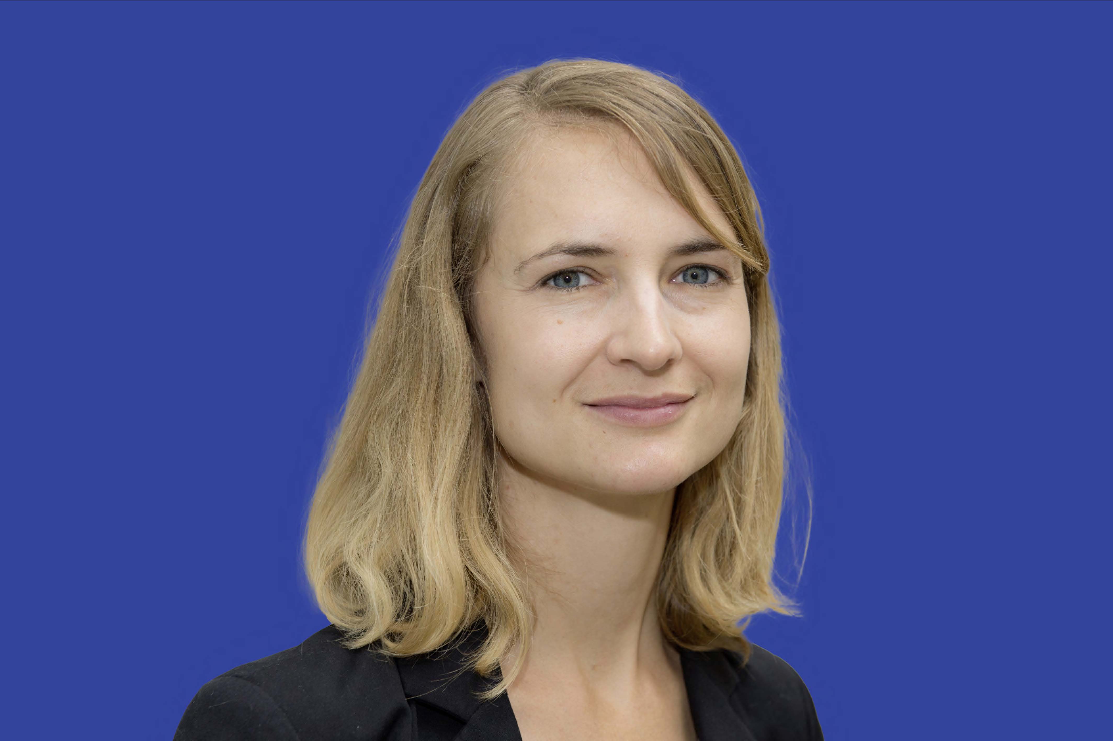 Macroeconomic forecasting/ prévisions macro-économiques